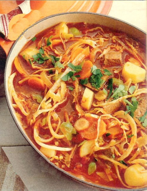 Schtschi – Russische Kohlsuppe – Problemhaus – Das Haushaltsportal